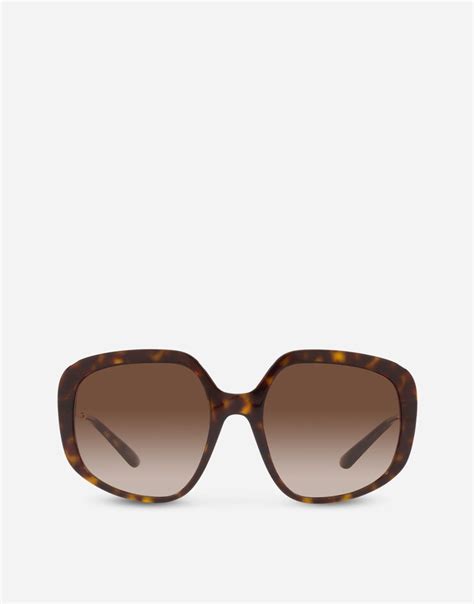 Dd Light Sunglasses In Havana For Women Dolceandgabbana® Us