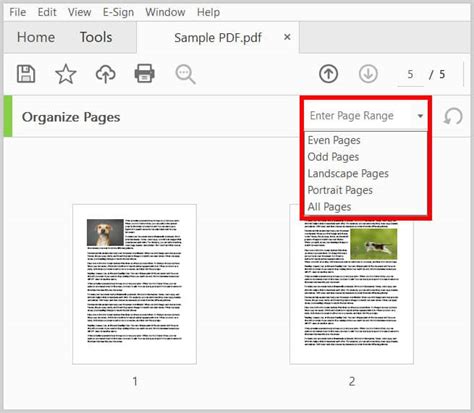 How To Add Page Transitions In Adobe Acrobat PC Mac