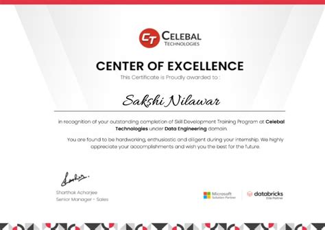 Sakshi Nilawar On Linkedin Dataengineering Careermilestone