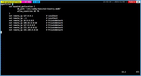 geoip filtering with caddy and firewalld