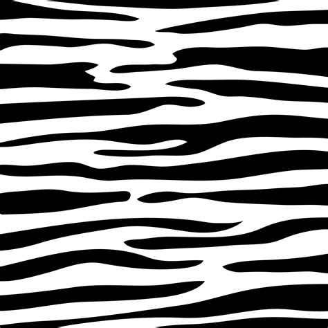 Simple Zebra Print Vector Illustration Not Seamless Pattern Animal Simple Zebra Print Vector Illustration Not Seamless Pattern Animal