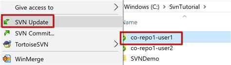 Svn Basics Module 4 Managing Conflicts Test Management
