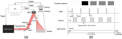 A Sfdi System Diagram B Synchronization Sequence Of The System