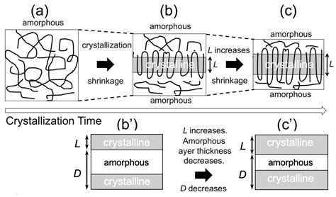 Structural Evolution In Isothermal Crystallization Process Of Polyl Lactic Acid Enhanced By
