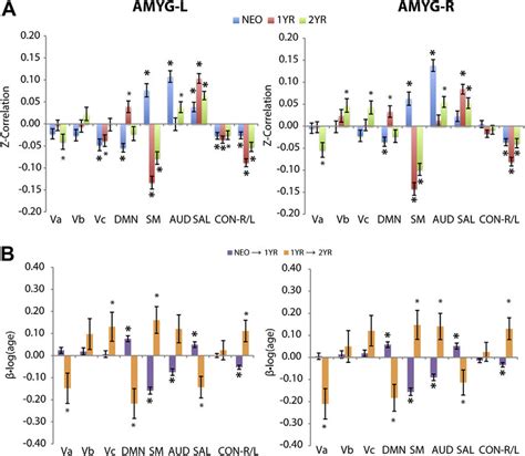 Network Level Functional Connectivity And Corresponding Longitudinal