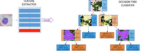 illuminated decision trees with lucid