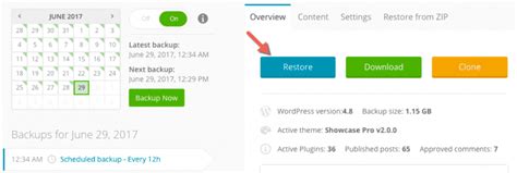 What To Do If Your WordPress Website Is Hacked Step By Step Guide