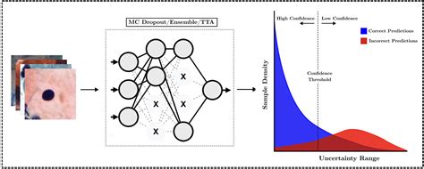 Uq For Cervical Cytology