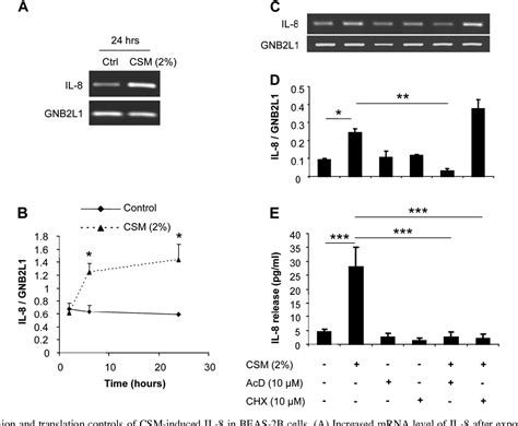 Figure 2 From The Role Of Mapk And Nrf2 Pathways In Ketanserin Elicited