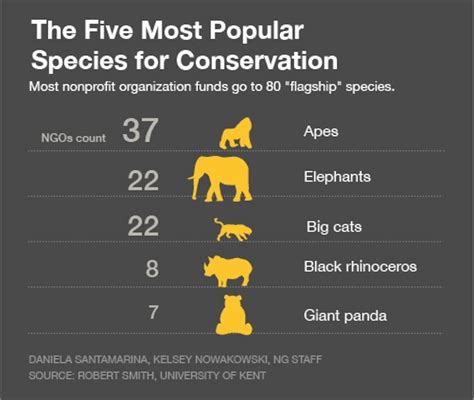 20 000 Species Are Near Extinction Is It Time To Rethink How We Decide