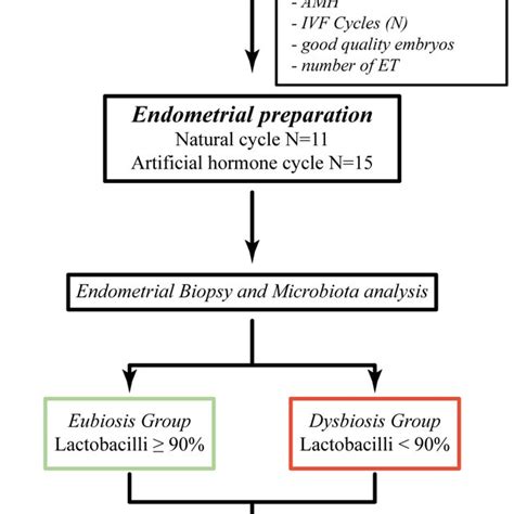 Schematic Overview Of The Clinical Workflow Good Quality Embryos
