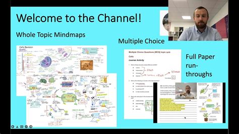 Gene Expression Revision Mind Map Aqa Asa Level Biology Full Article