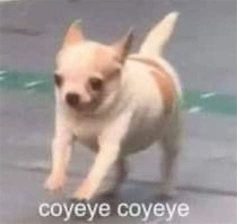 El Lunes Sin Falta Carnal Memes Memes Para Comentarios Plantillas