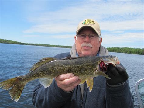 Minnesota Walleye Fishing Resort