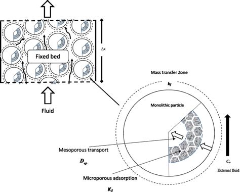Schematic Representation Of Fixed Bed And Monolithic Particle Download Scientific Diagram