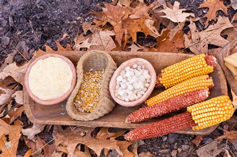 How To Decolonize Your Diet According To Experts