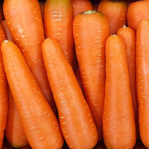 세척당근 1kg 2~3l수입산 최저가 사업자 식자재 식봄