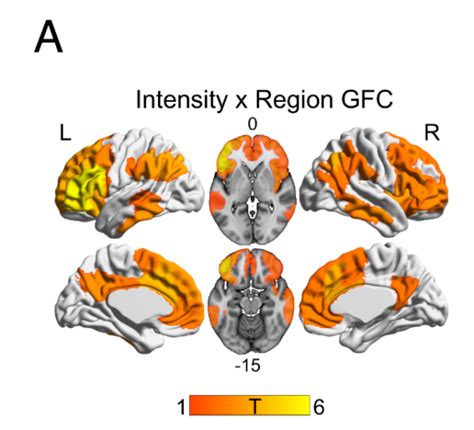 Scientists Reveal How Dmt Affects The Brains Advanced Functions