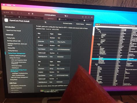 Successful Hackintosh Build Rhackintosh