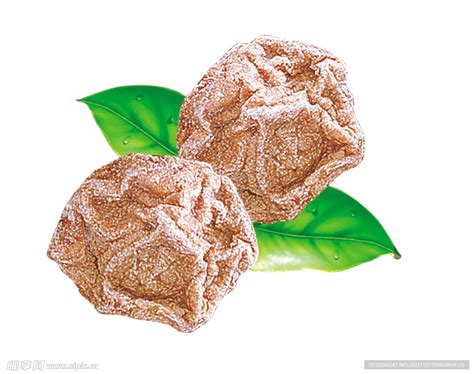 话梅设计图水果生物世界设计图库昵图网