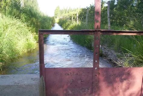 Encuentran Hombre Ahogado En Canal De Una Comunidad De Bahoruco
