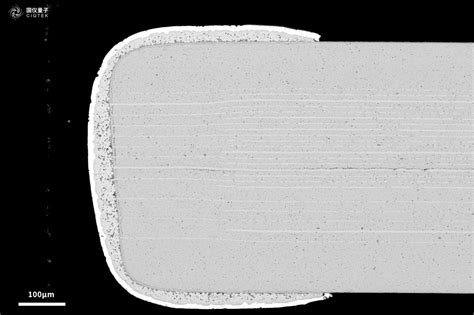 Ciqtek Scanning Electron Microscope For Mlcc Applications