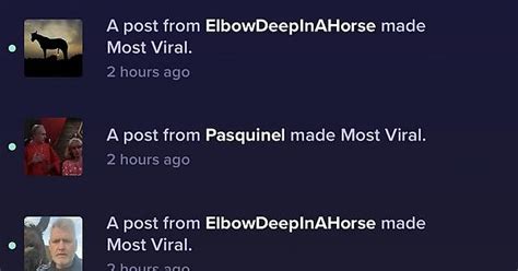 Ellie You Gotta Pace It Out Take A Sec And Hydrate Album On Imgur