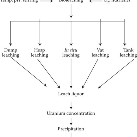 Pdf Microbial Extraction Of Uranium From Ores