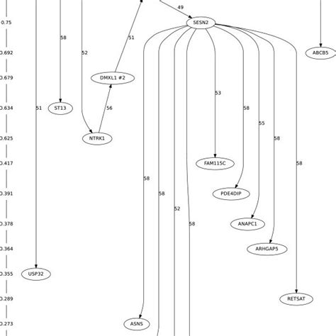 Mutation Tree With The 18 Important Sites In 2 The Pairwise