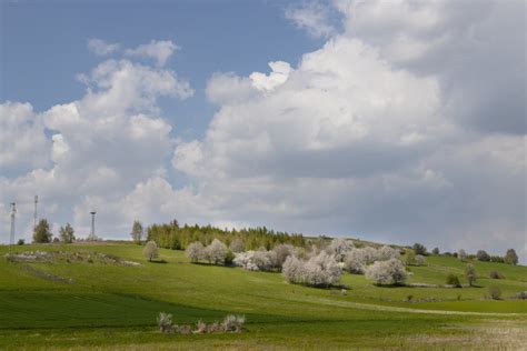 경치 경치 좋은 전망 계절 고요한 구름 구름 낀 하늘 국가 그림 같은 깨끗한 공기 꽃 꽃이 만발한 나무 꽃이 피는 나무 날씨 낮 녹색 언덕들