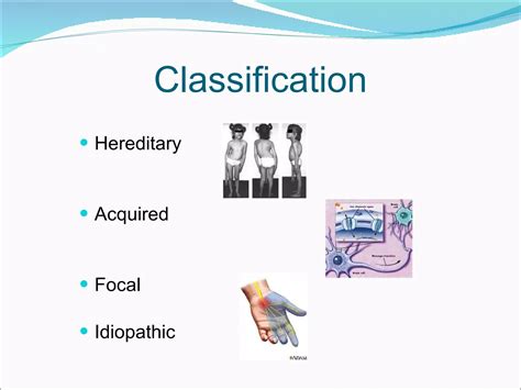Peripheral Neuropathy An Overview Ppt