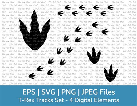 T Rex Footprints And Walking Tracks Clipart Set Tyrannosaurus Rex