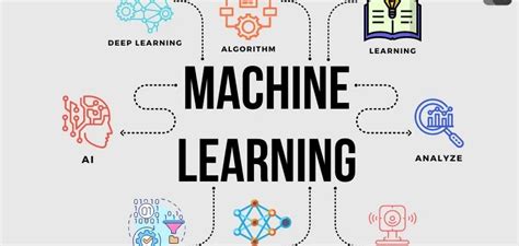 The Top 10 Machine Learning Algorithms Every Novice Should Understand