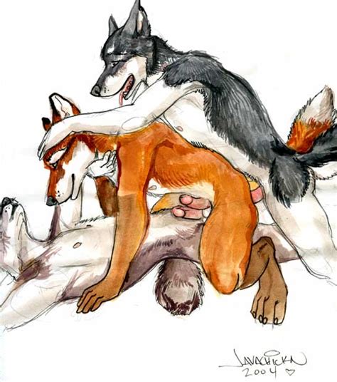 Rule 34 Canine Fox Fur Furry Gay Humanoid Penis Java Male Mudshark No