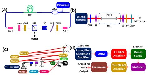 Advances In Ultrafast Fiber Lasers For Multiphoton Microscopy In