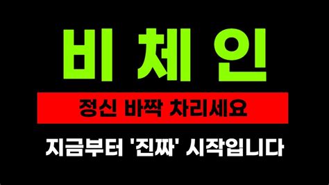 비체인 정신 바짝 차리세요 지금부터 진짜 시작입니다 Youtube