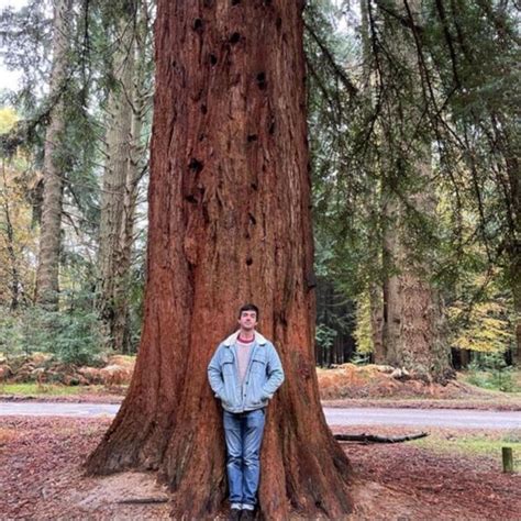 Cut The Rope Sonny Siminski Qobuz