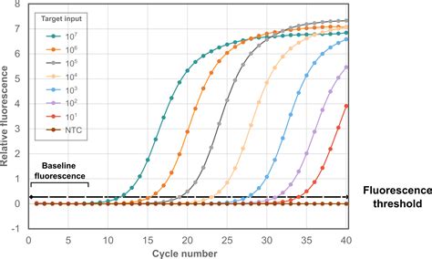 How To Plot Qpcr Data In Prism At Patrick Jefferson Blog