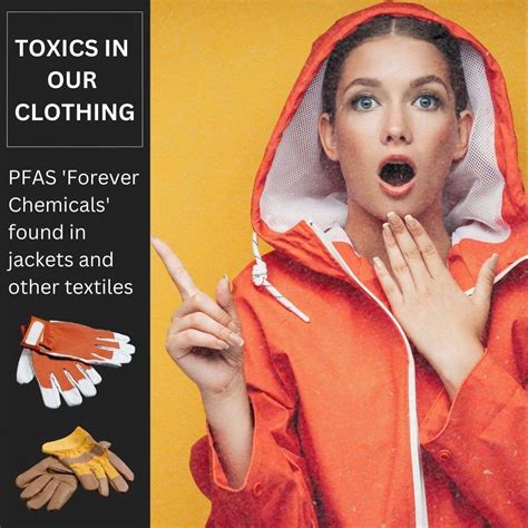 Understanding Pfas Environmental Persistence And Human Health Concerns Consumers Association