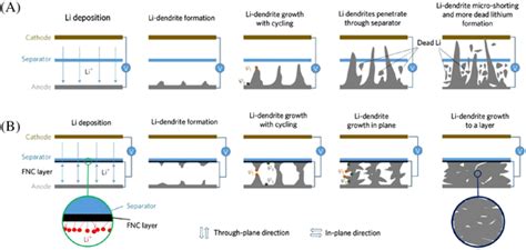 Schematic Illustration Of Dendrite Growth In Cells Assembled With A