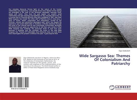 Wide Sargasso Sea Themes Of Colonialism And Patriarchy
