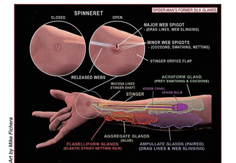 Which Web Shooters Is Better In Your Opinion Rspiderman