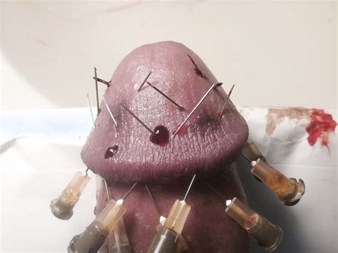 Crown Of Thorns Image ThisVid Tube