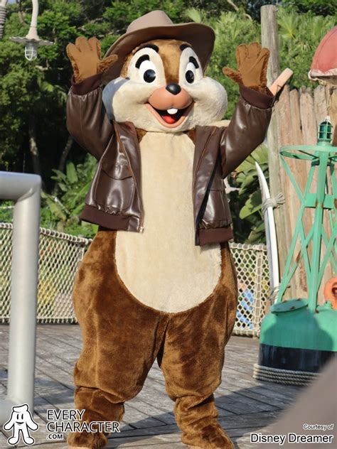 Rescue Ranger Chip On