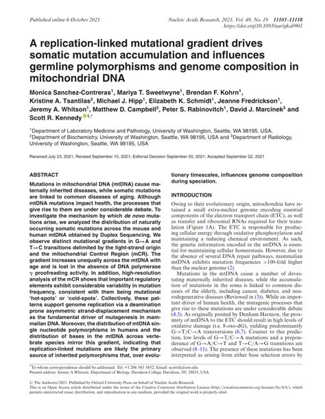 Pdf A Replication Linked Mutational Gradient Drives Somatic Mutation