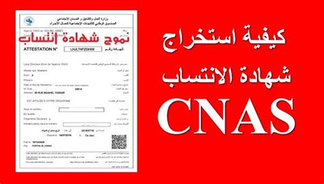 كيفية استخراج شهادة عدم الانتساب Cnas من الانترنت 2024 خدمة نيوز