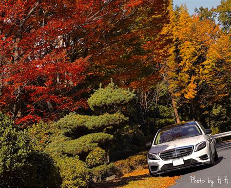 Sクラスセダンの紅葉ドライブ・ドライブ・紅葉と愛車・愛車の一番好きな角度・紅葉コラボに関するカスタム事例｜車のカスタム情報はcartune