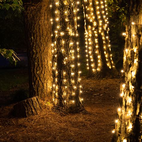 How To Put Net Lights On Tree Trunk At Jayne Griffin Blog