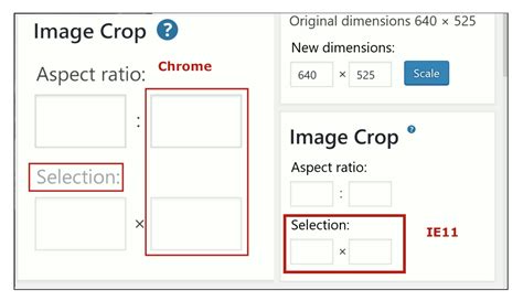 Disabled Fieldset Does Not Convey The Disabled State Of Controls · Issue 15299 · Wordpress