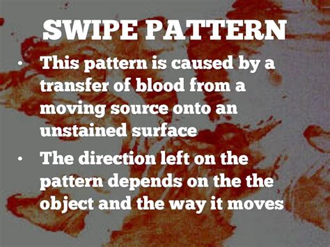 Forensics By Bellis0011